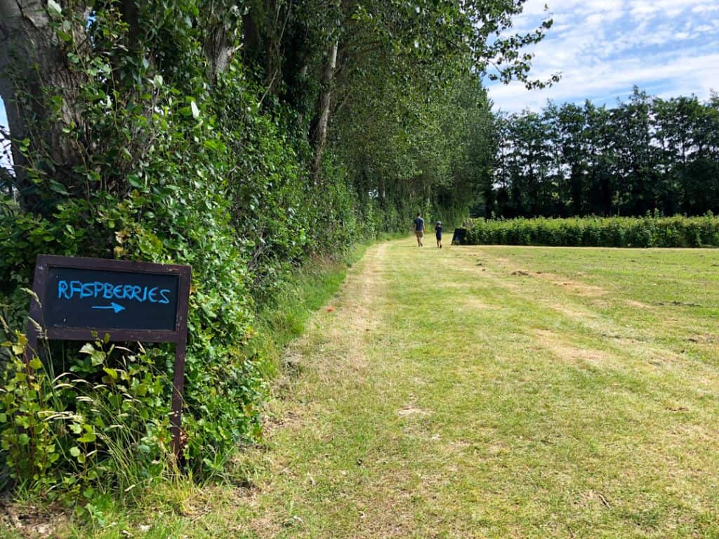 Go and Pick Your Own at Sharnfold Farm - All Kitchen Colours